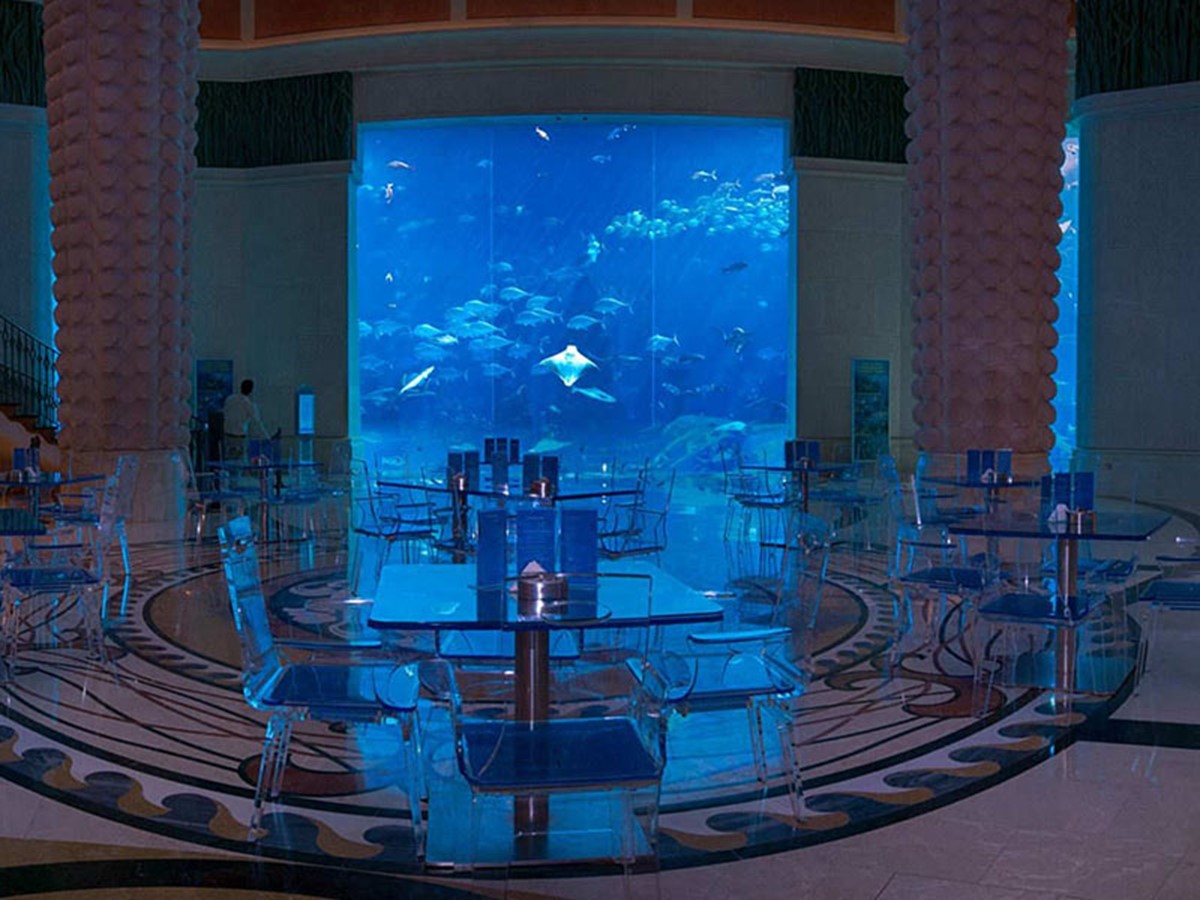 Hôtel Atlantis The Palm à Dubaï : réservez votre séjour avec OOVATU