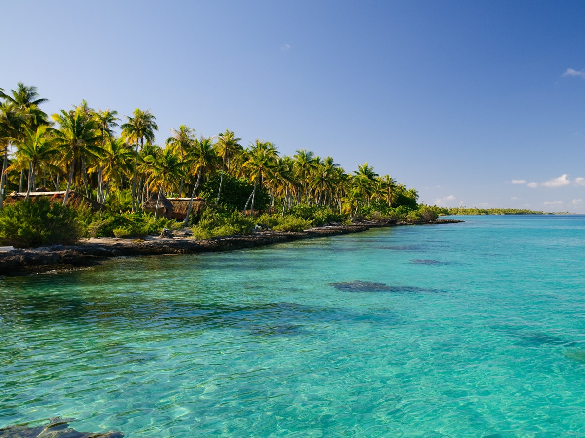 Voyage à Fakarava : des vacances de rêve avec oovatu