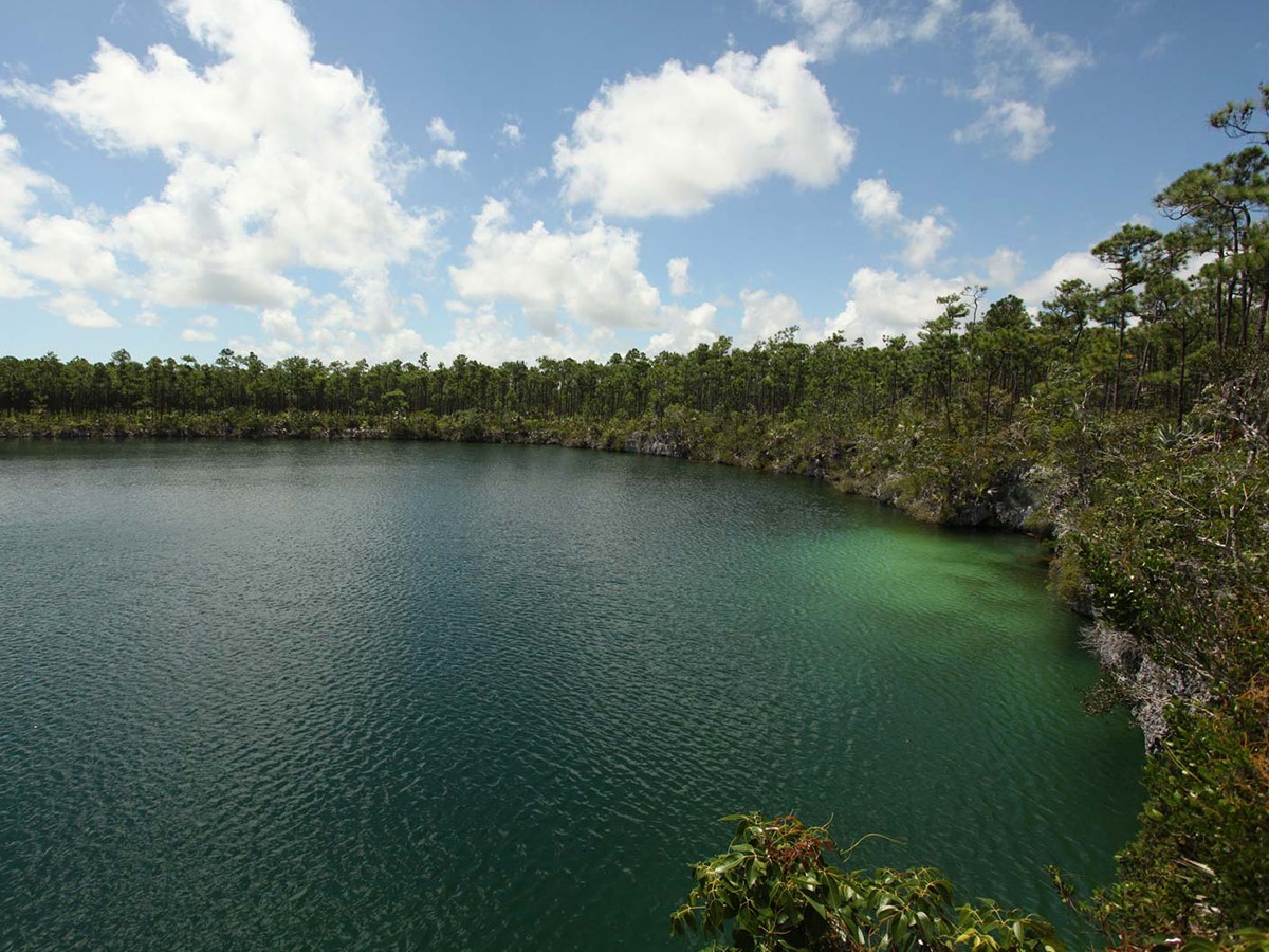 Hôtel Small Hope Bay Lodge : votre séjour aux Bahamas avec OOVATU
