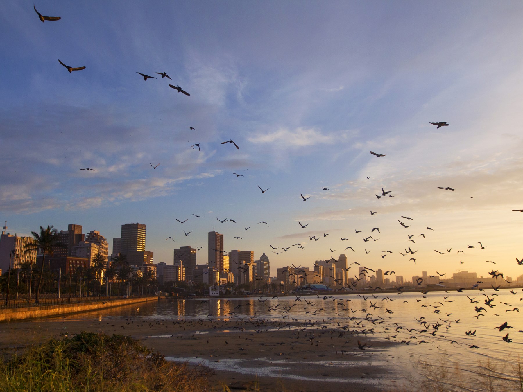 Durban en Afrique du Sud avec l’agence spécialiste Oovatu