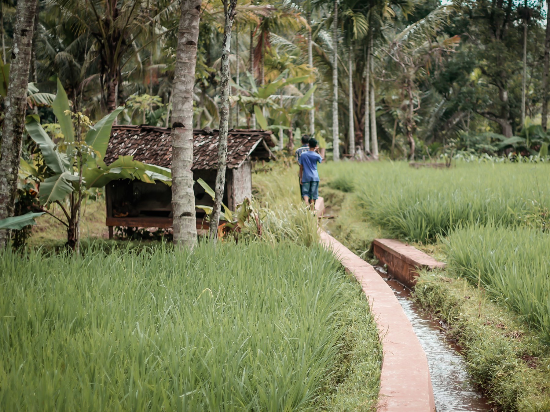 Séjour à Java : une terre de culture et de volcans à découvrir avec OOVATU