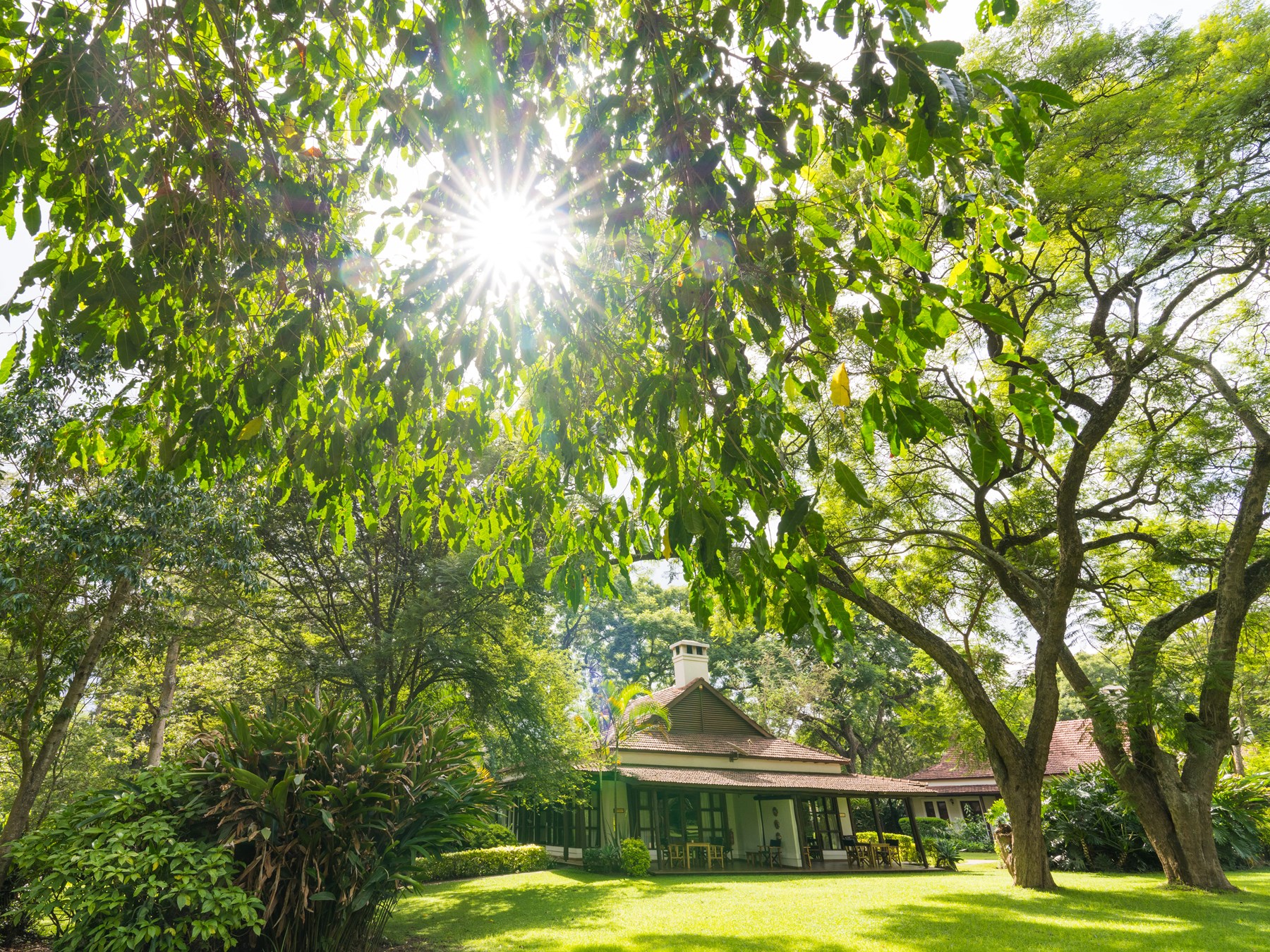 Legendary Lodge : réservation de votre séjour en Tanzanie avec OOVATU