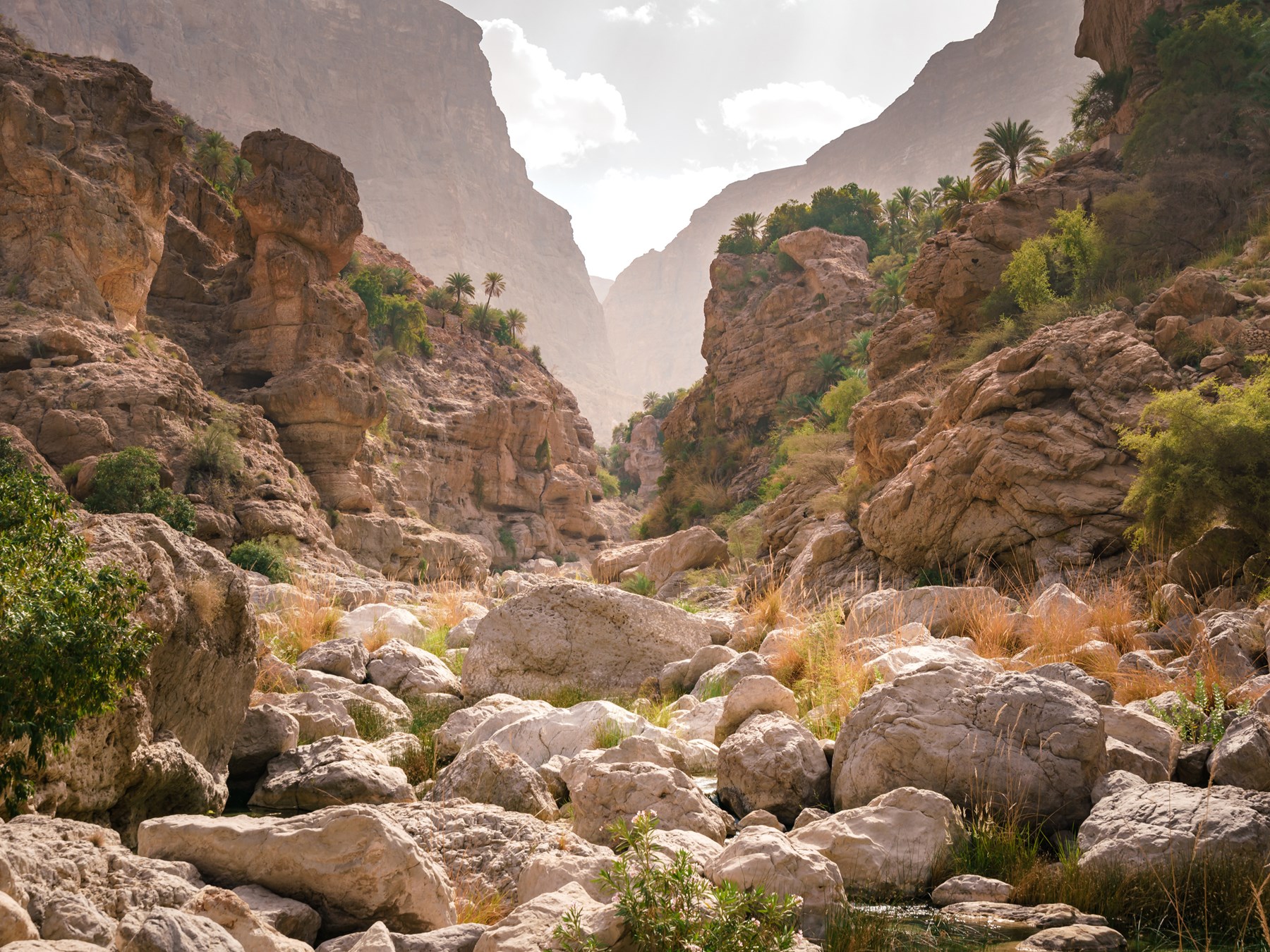 Top 10 des plus beaux wadis d'Oman avec OOVATU