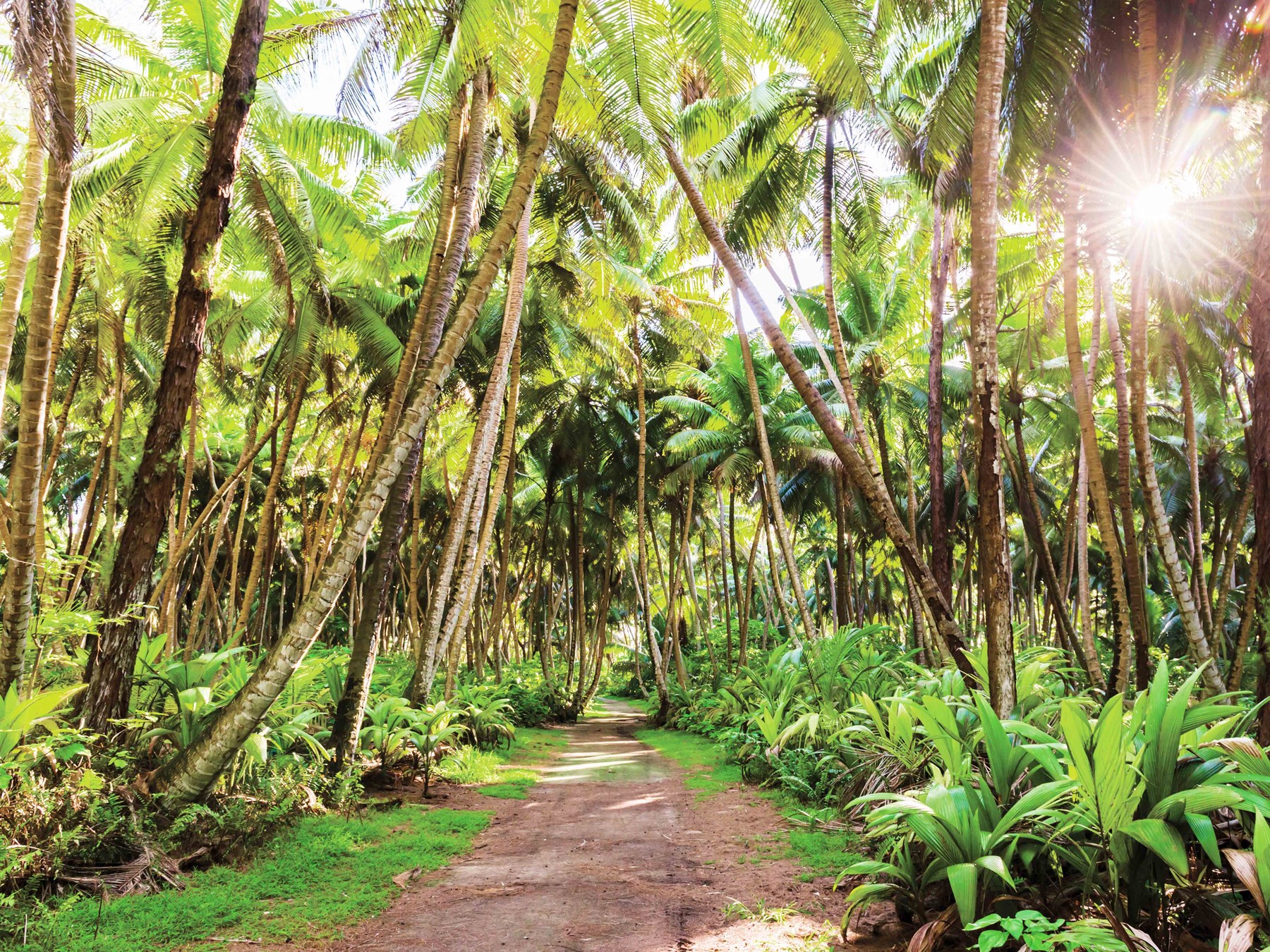 Les plus belles îles des Seychelles : laquelle choisir