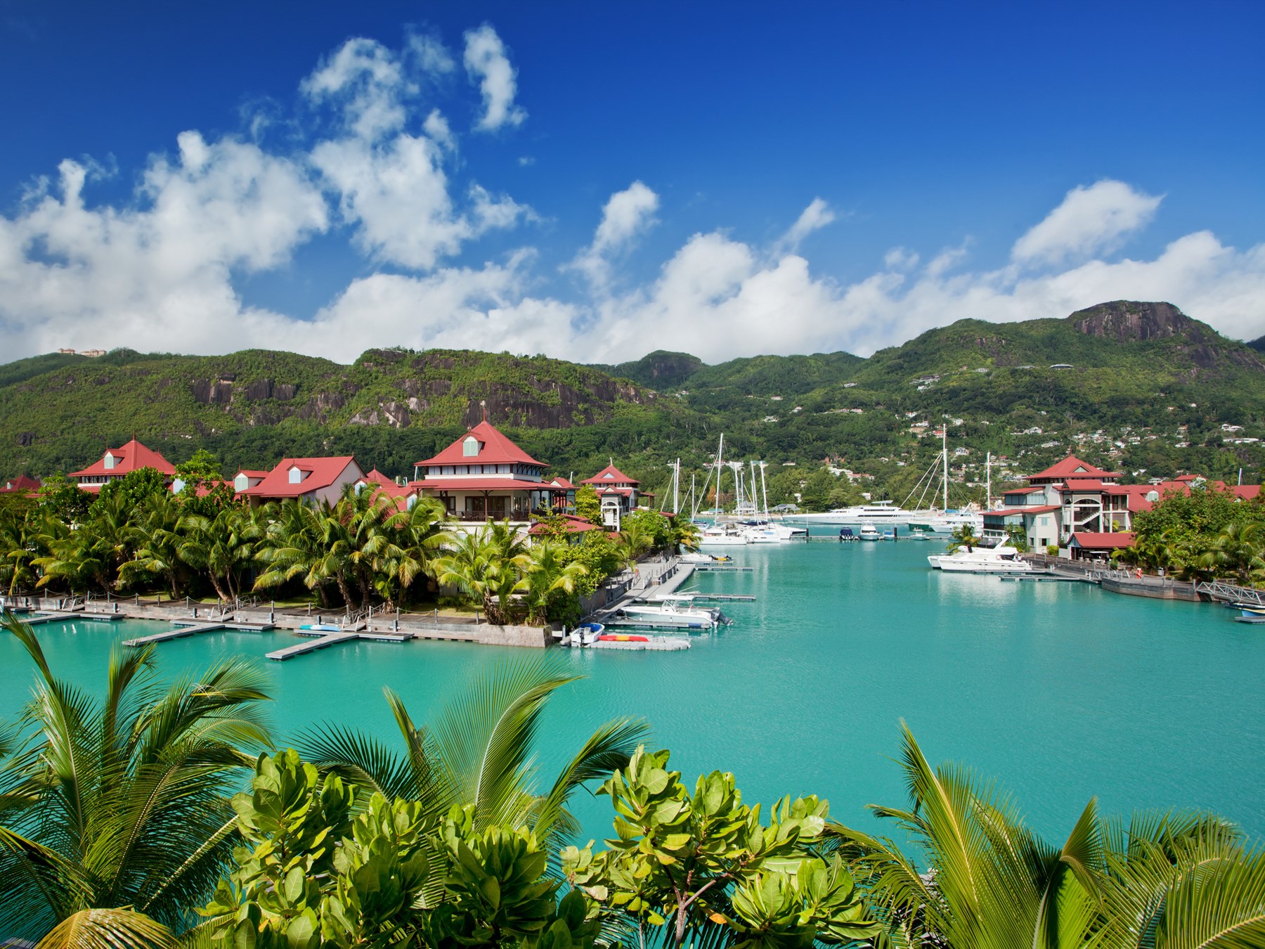 Les plus belles îles des Seychelles : laquelle choisir