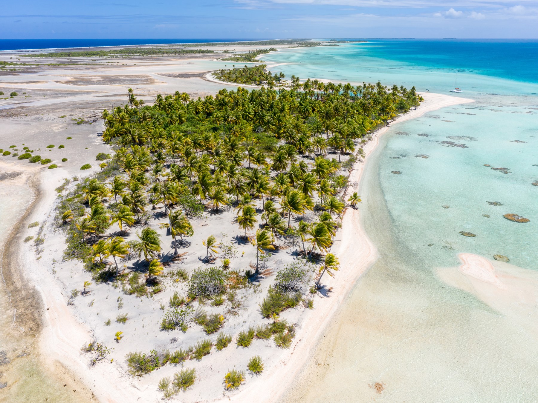 Circuit Odyssée sous-marine dans l'archipel des Tuamotu