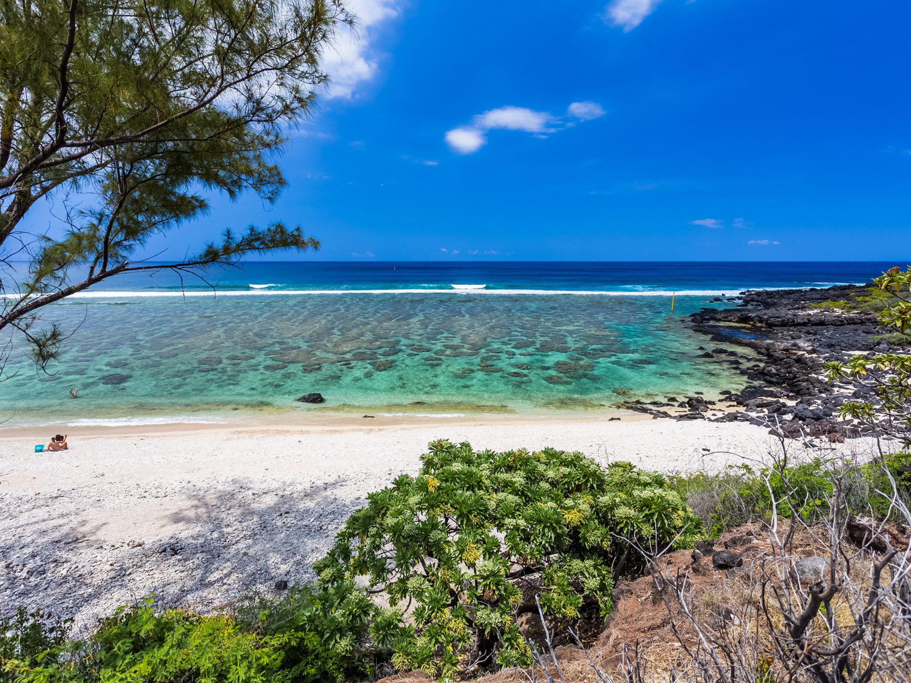 Où voir les baleines à la Réunion ? Les conseils OOVATU